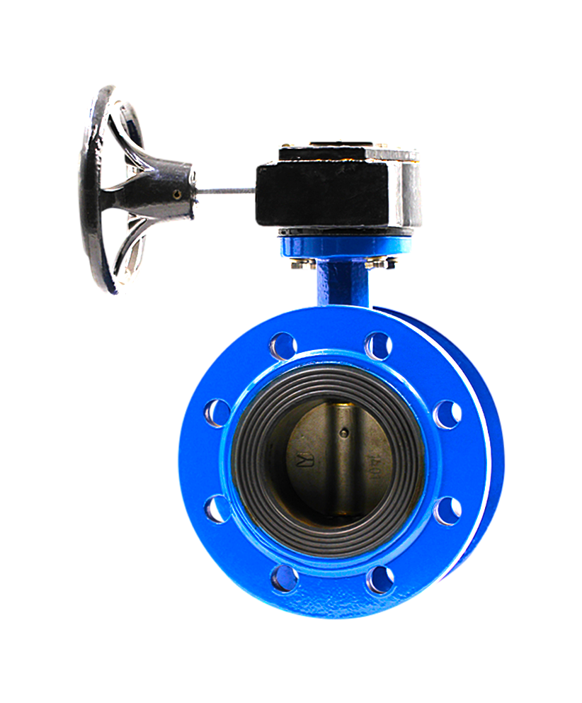 Jual Double Flange Butterfly Valve | PT. Radiksa Adijaya Prakarsa Jual Double Flange Butterfly Valve | PT. Radiksa Adijaya Prakarsa